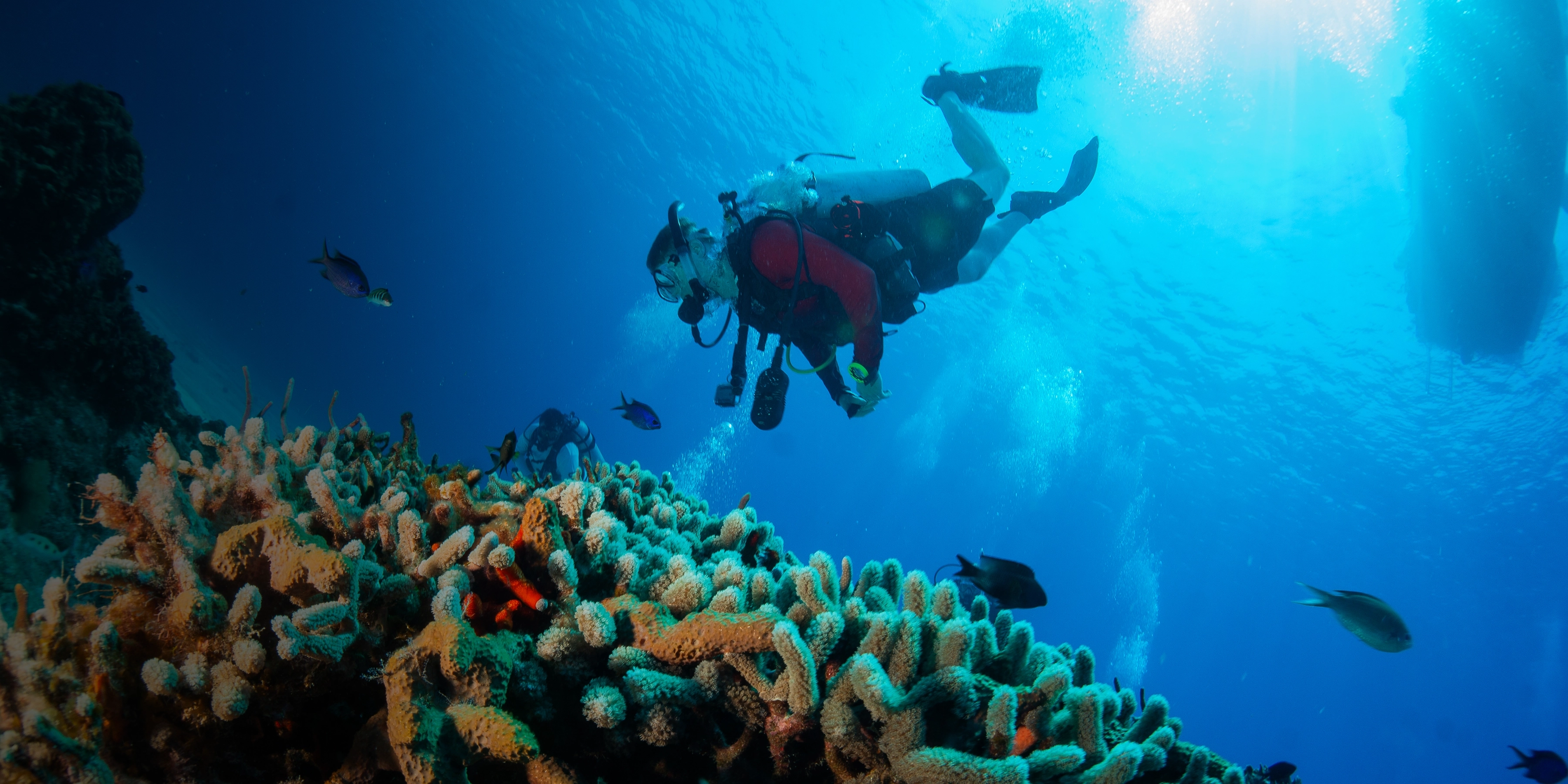Cozumel scuba excursions 60 photos - Morilly.com