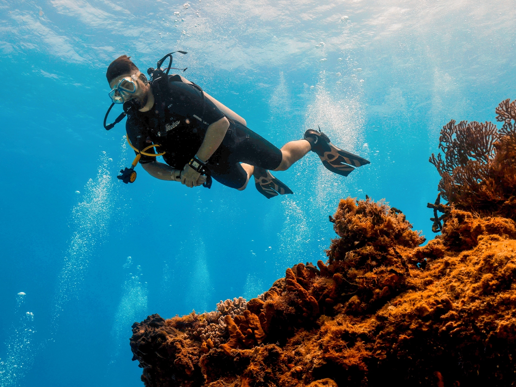 Experience Incredible Diving Adventures | Cozumel Palace